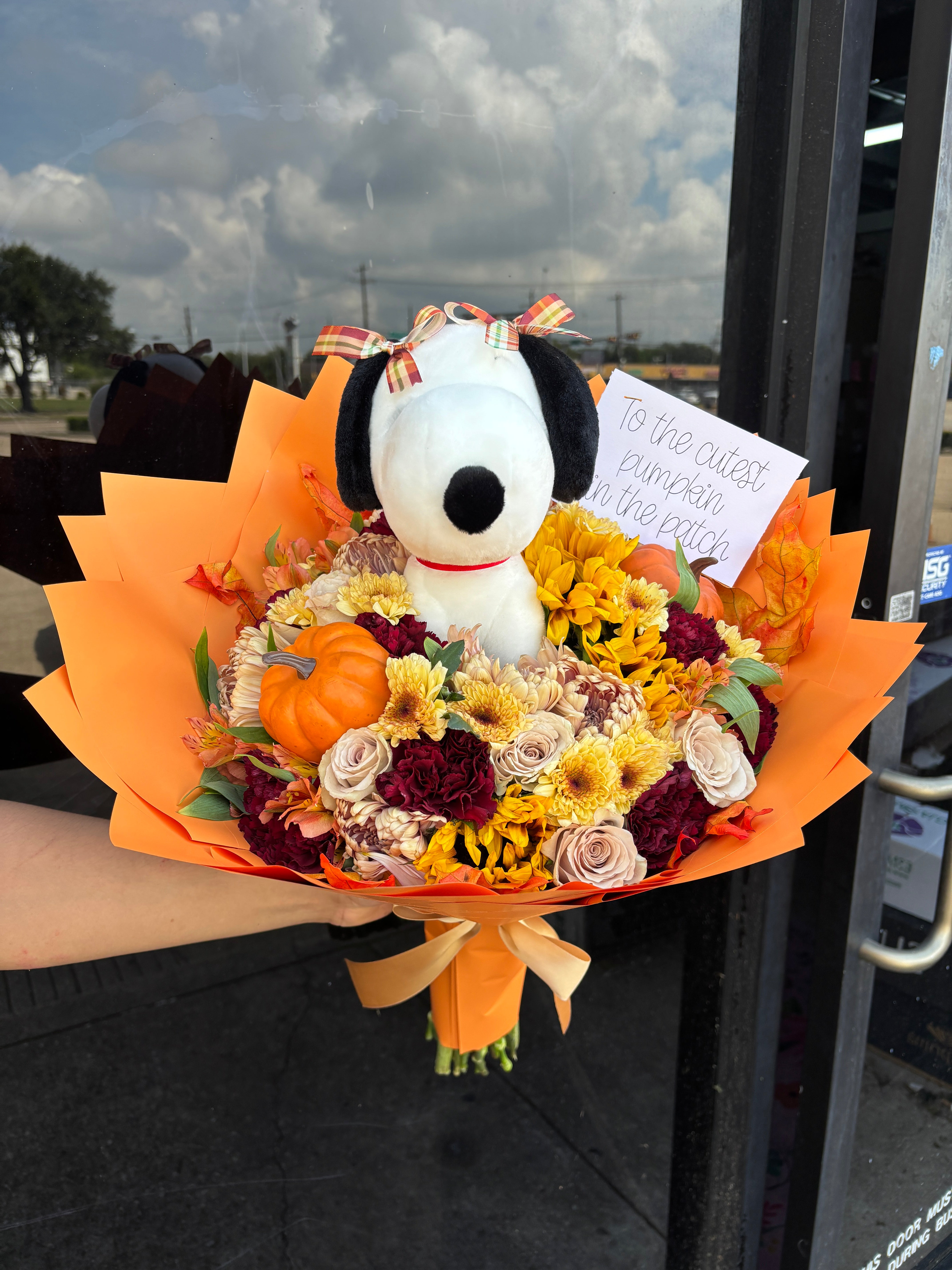 Pumpkin patch garden snoopy🍂🤎 – bouquetsbyrubyhtx