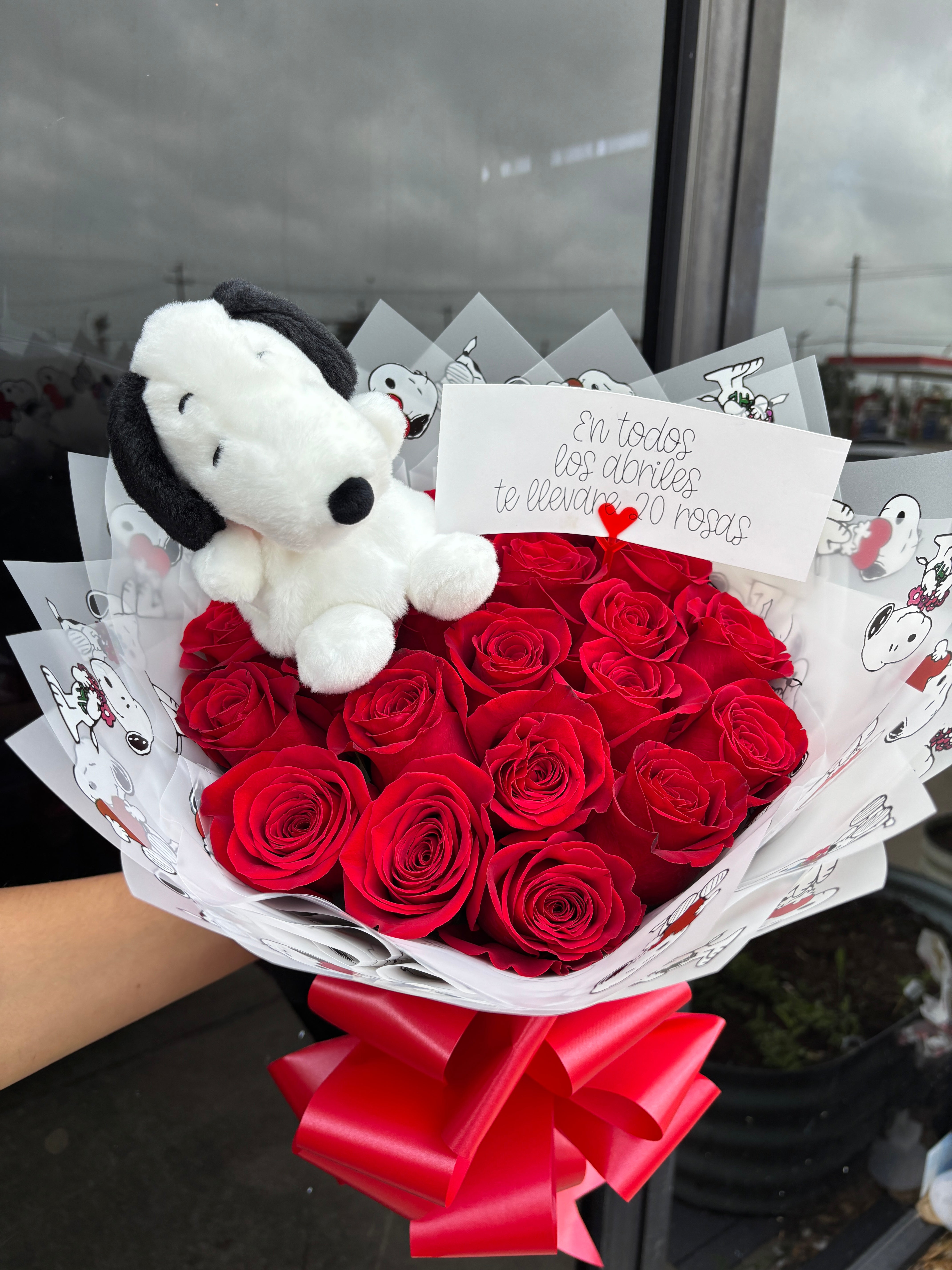 Snoopy with 20 red roses ️ – bouquetsbyrubyhtx